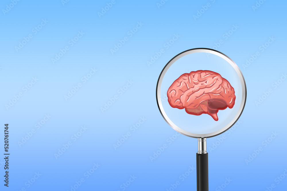 Checking brain and report testing result with simulator interface ...