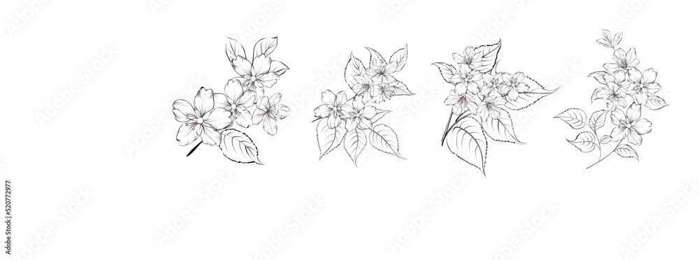 Set of differents sakura on white background. Stock Vector | Adobe Stock