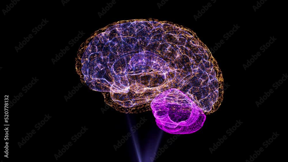 Video Illustration of Scanning the Thought Process of the Brain. Neon ...