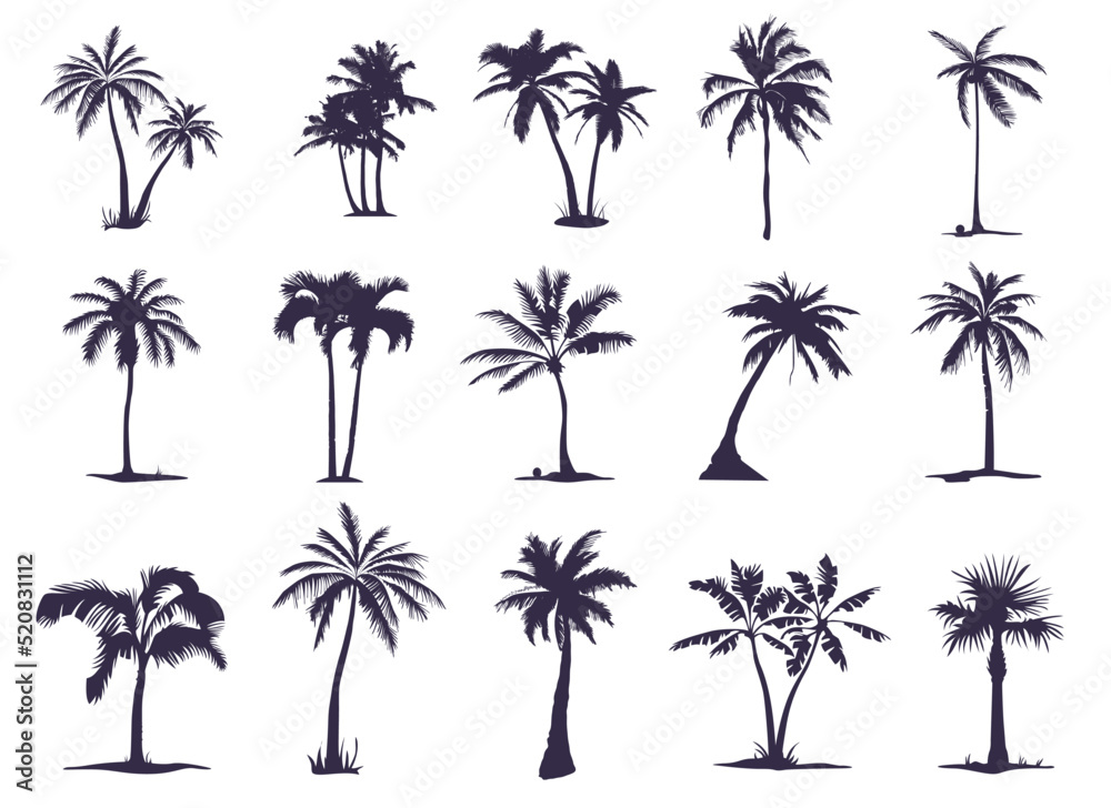 A large set of silhouettes of Palm trees. Palm tree silhouette for your ...