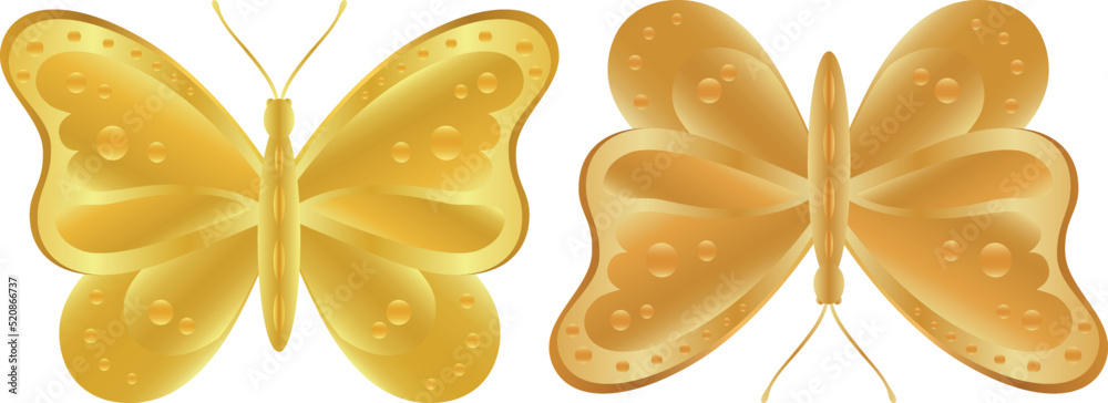 vectors, drawings of colorful butterflies. drawings of butterflies of ...