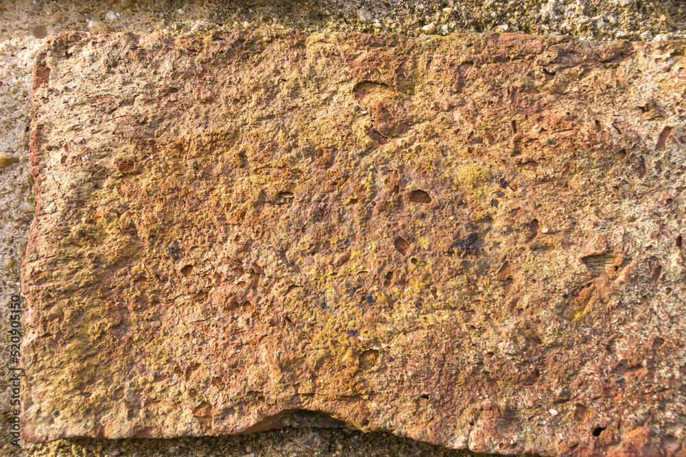 Fondo. Texturas y tramas sólidas. Stock Photo | Adobe Stock