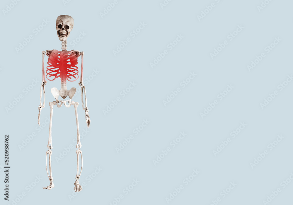 Banner with skeleton with red point at chest ribs. Injury, joint ...