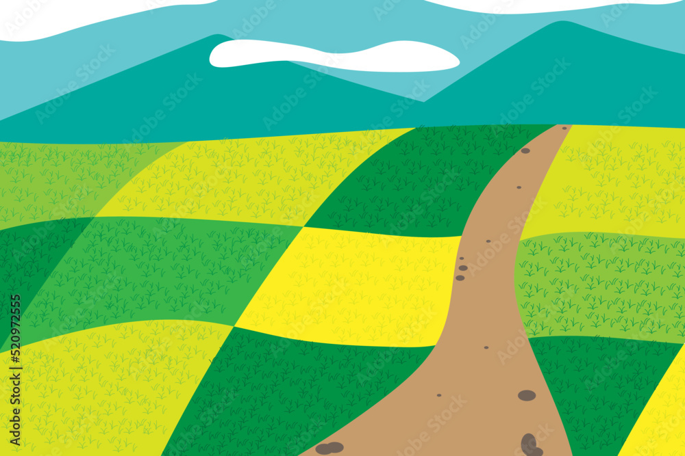 Rice field in aerial view vector illustration Stock Vector | Adobe Stock