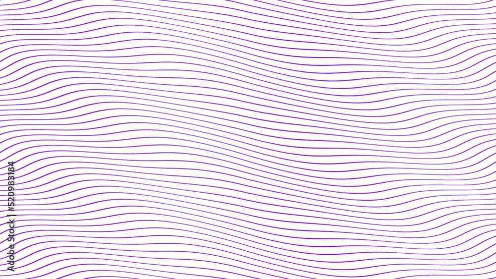 Violet parallel wave lines slow flowing animation on isolated white ...