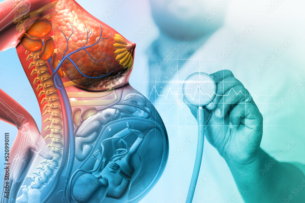 Pregnant woman infographic background, doctor check and diagnose the ...