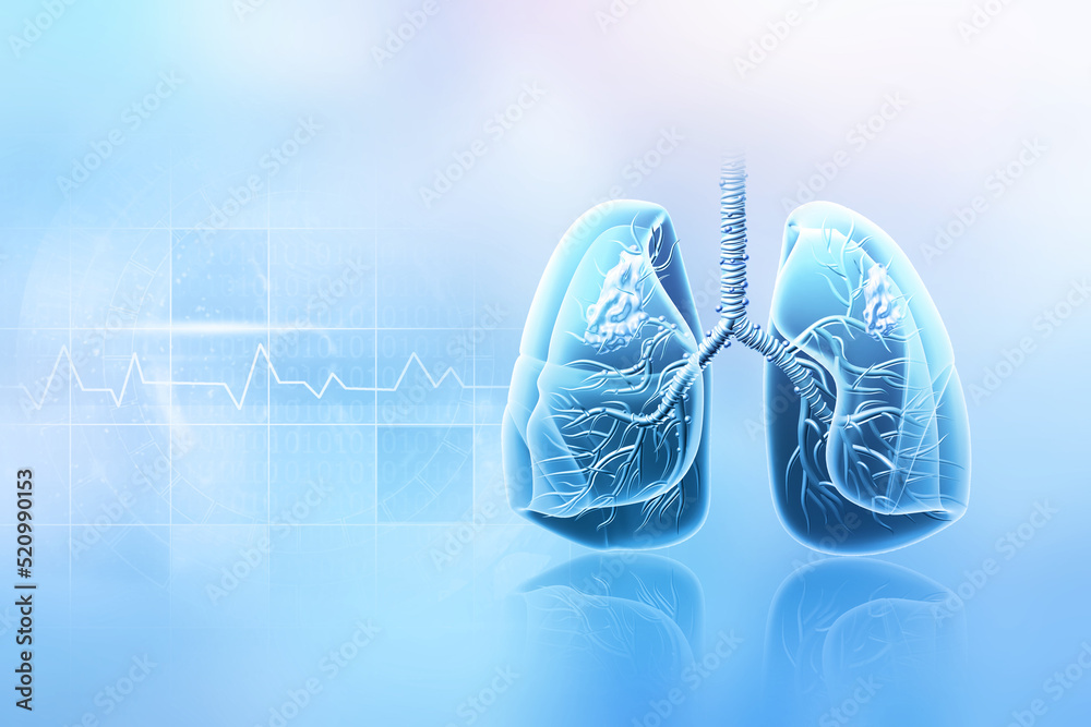 Human lungs anatomy on blurred medical background. 3d illustration ...