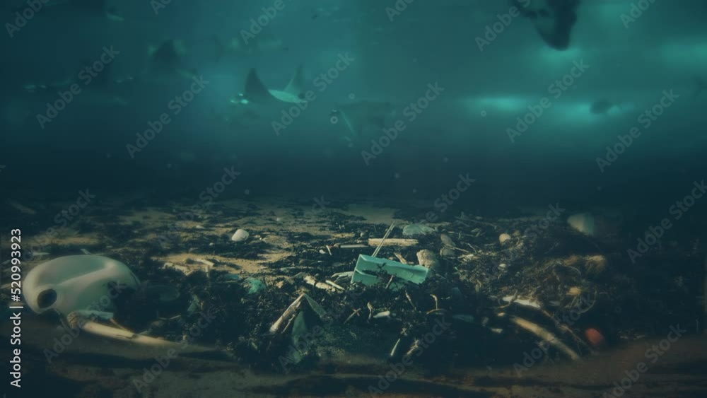 Underwater Trash Ocean Pollution Fish Swimming Environment Waste ...