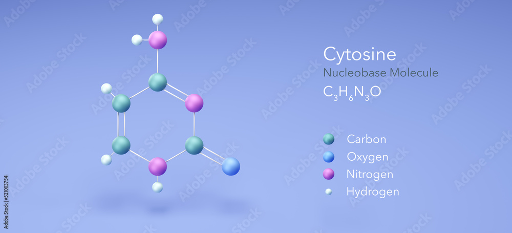 cytosine, nucleobase dna molecule. Molecular model, 3d rendering ...