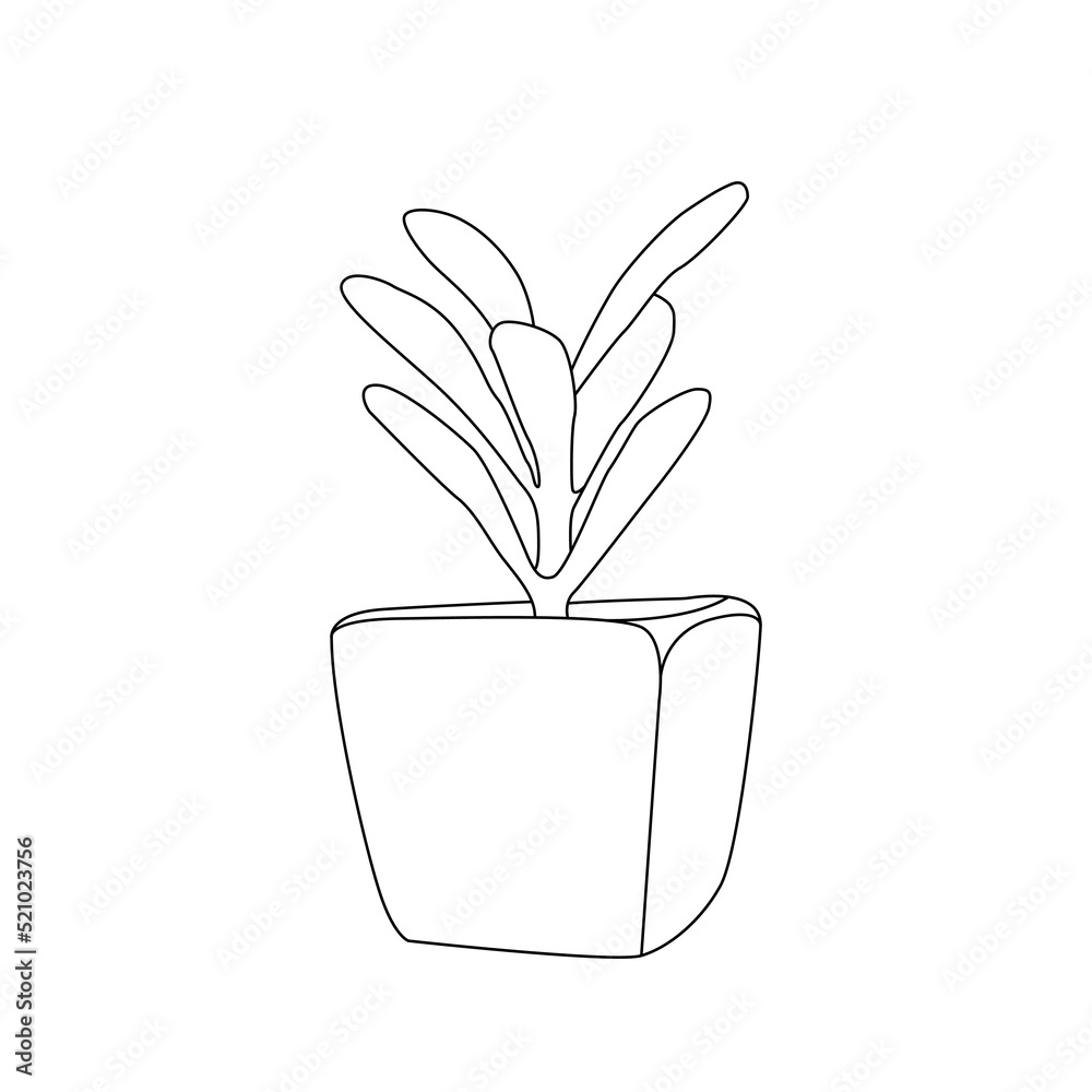 Continuous line drawing of a flowers pots. Beautiful flowers isolated ...
