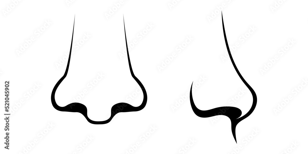 Human nose. Profile view. Vector illustration isolated on white ...