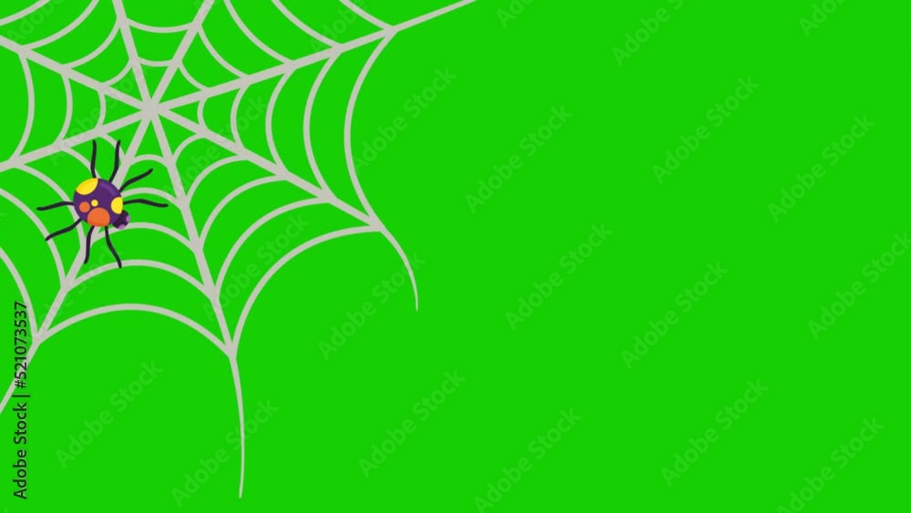 Spider Web animation on a green screen. Halloween Spider Web with alpha ...