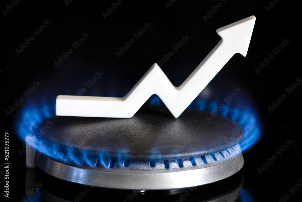 Propane gas price. Supply chains and the energy gas crisis. The concept ...