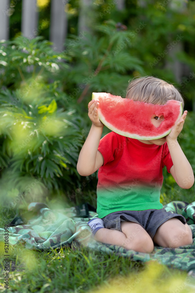 A little boy with a piece of watermelon is sitting on a blanket in the ...