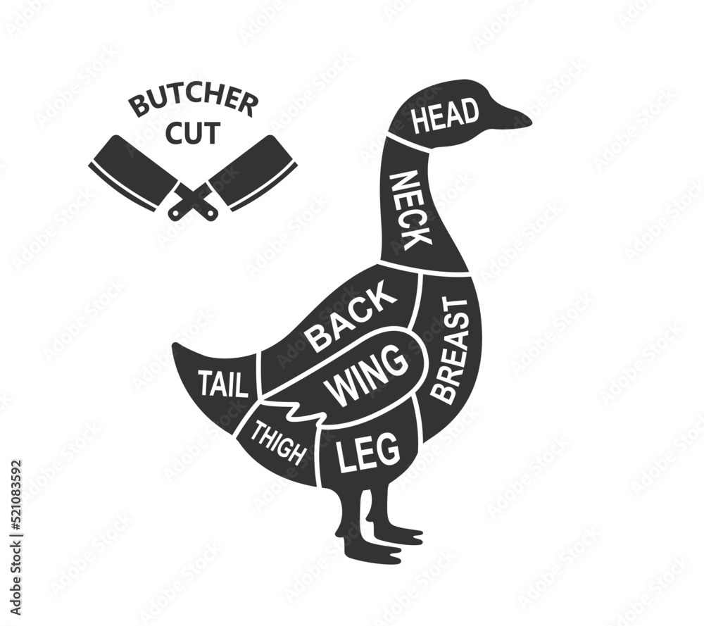 Goose scheme cuts. Butcher diagram poster. Meat diagram scheme ...