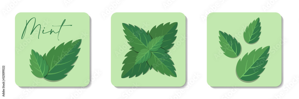 Mint leaves flat icons collection. Stylized flat vector elements with ...
