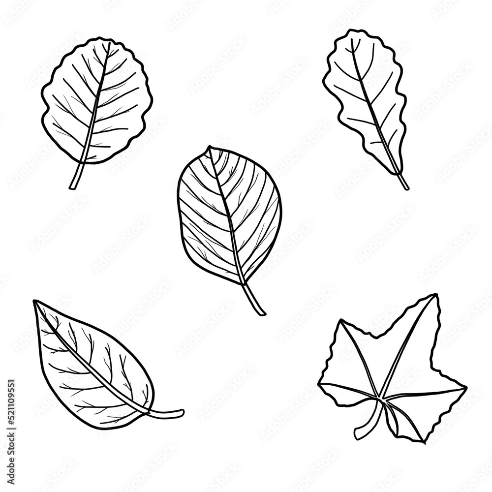 5x Blätter Herbst Laub ~ schwarz weiß ~ Vorlage / Template ~ Icons ...