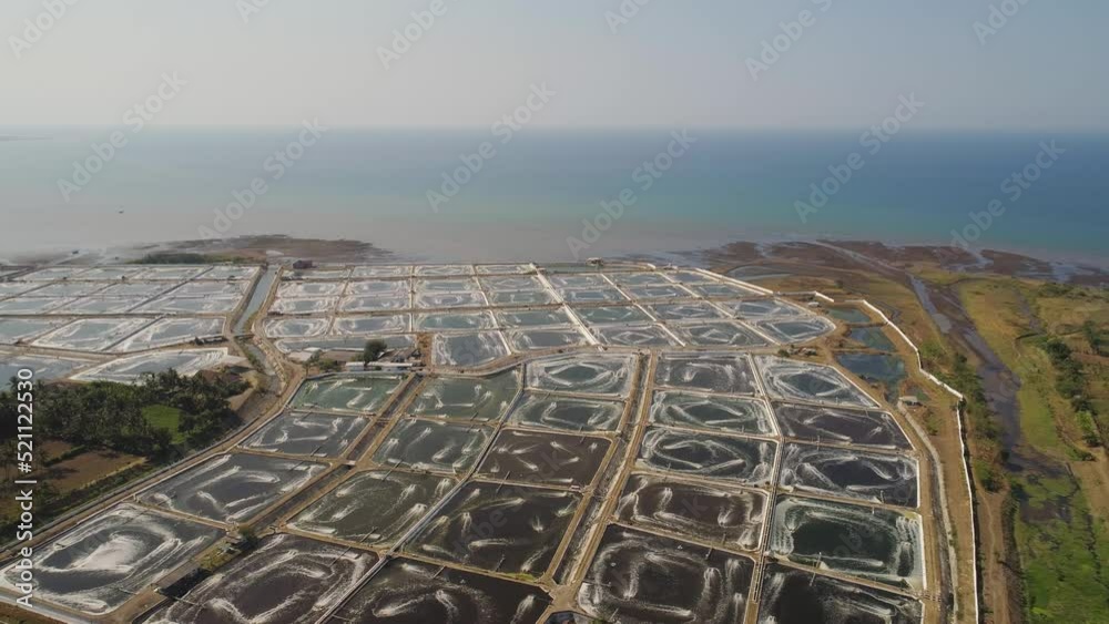 Video „shrimp farm, prawn farming with with aerator pump oxygenation ...