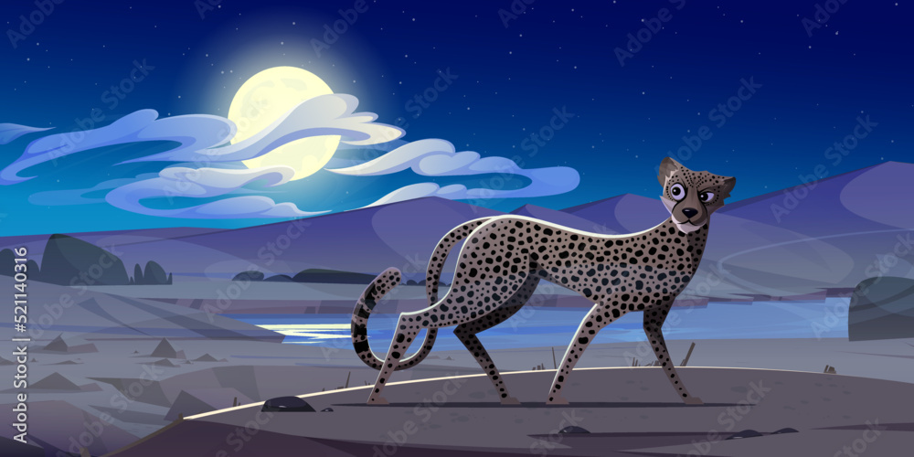 Cheetah at night african desert landscape. Exotic wild animal with ...
