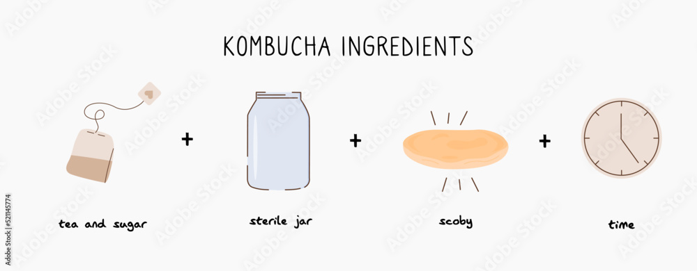 Kombucha fermented probiotic homemade drink ingredients infographic ...