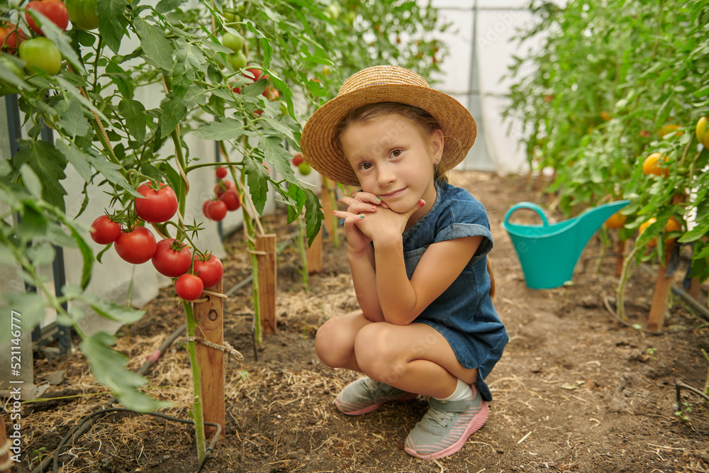 cute girl on the farm Stock-Foto | Adobe Stock