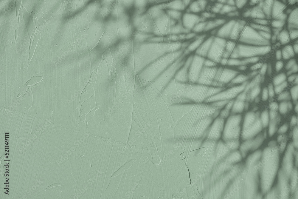 Abstract tree leaves shadows on gray green concrete wall texture with ...