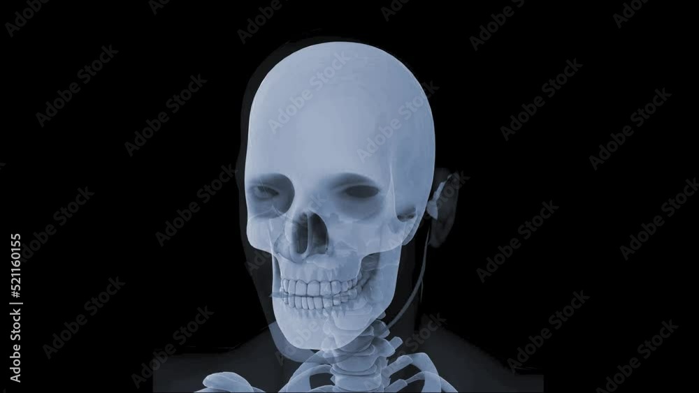 HUD skeleton skull appearing animation. HUD abstract technology ...