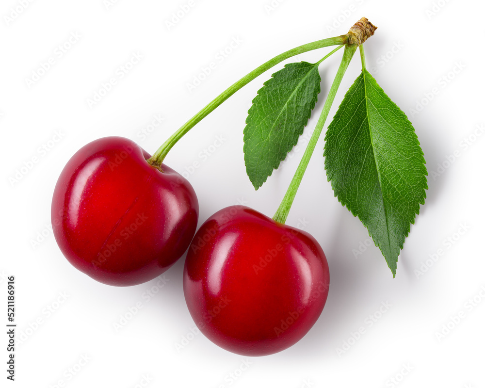 Cherry. Cherry with leaves on white background. Cherries top view. Two ...