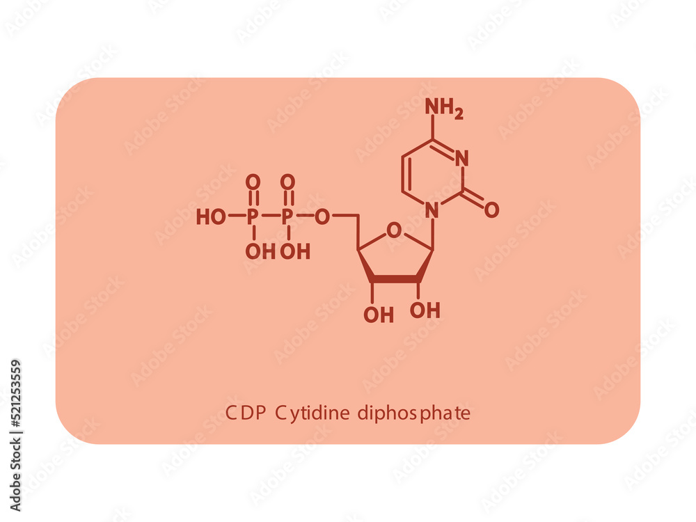 CDP Cytidine diphosphate Nucleoside molecular structure diagram on ...