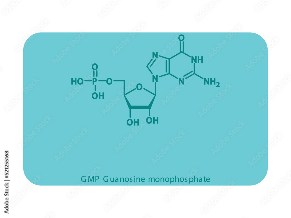 Vecteur Stock GMP Guanosine monophosphate Nucleotide molecular ...