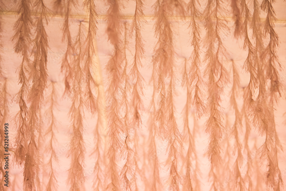 Beautiful floor design with colorful kash or kansh flower , abstract ...