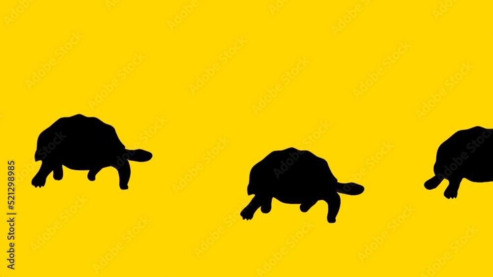Walking turtles, animation on the yellow background (seamless loop ...