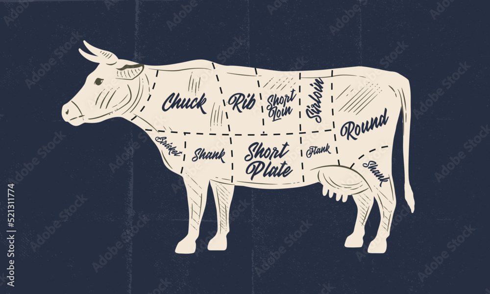 Cow, Beef meat chart. Butchery poster with beef meat cuts and paper ...