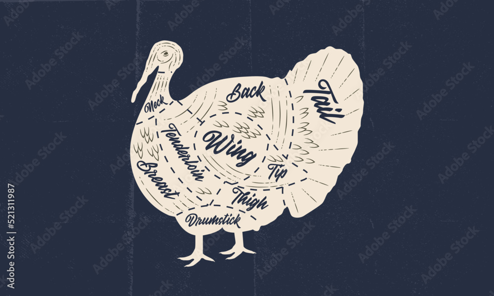 Turkey meat chart. Butchery poster with turkey meat cuts and paper ...
