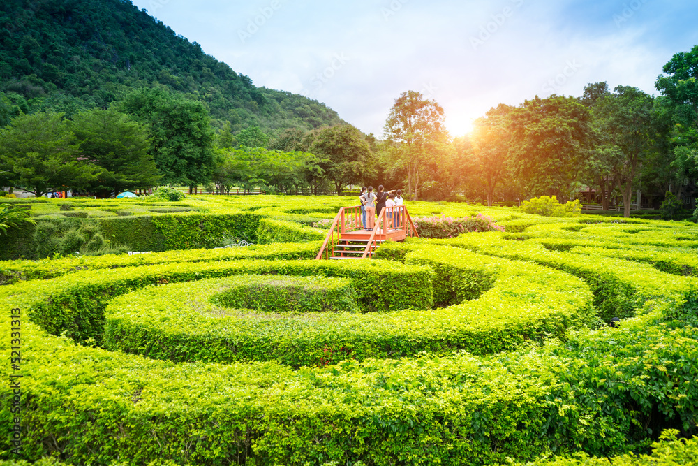 Soft focus of green plant maze wall with tourist on the stair raise the ...
