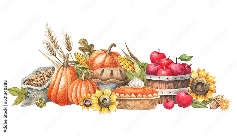 Harvest holiday, Thanksgiving day watercolor illustration with pumpkins ...
