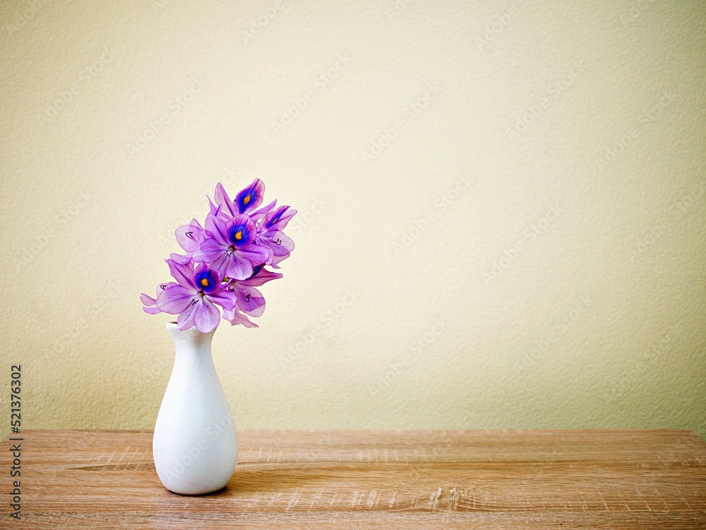 Purple flowers in vase on the table,Purple-pink flower still life on ...