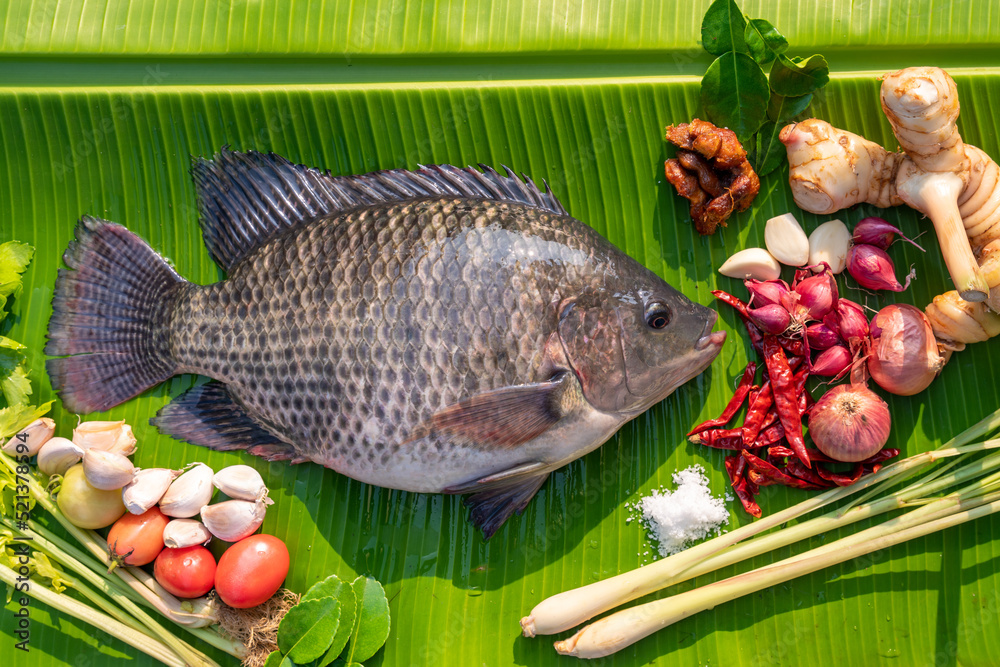 A Fresh tilapia fish with aromatic herbs spices and vegetables ...