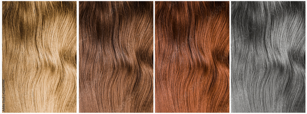 Collage with multicolored hair samples, banner design. Color palette ...