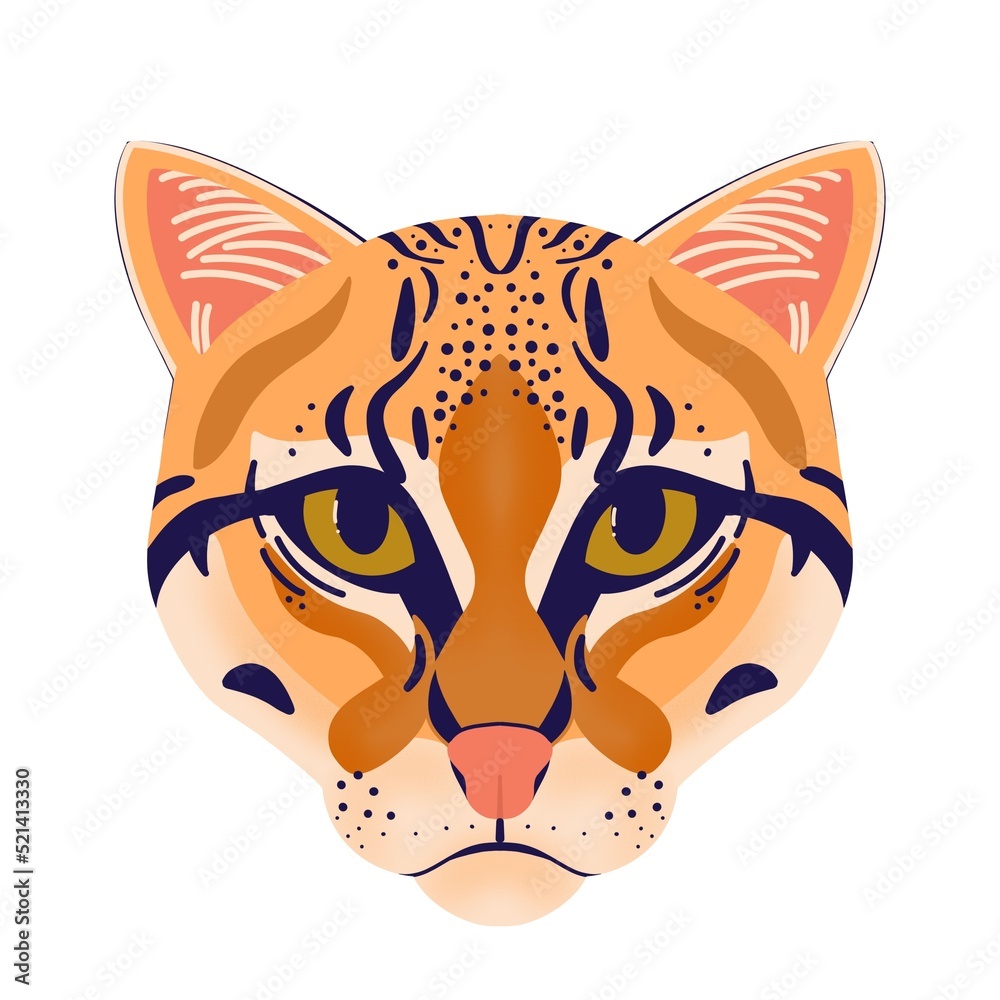 isolated handdrawn cartoon ocelot cat lineart wildcat Stock ...