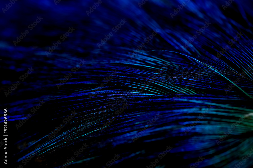 Abstract dark blue background, Feather abstract background, Abstract ...