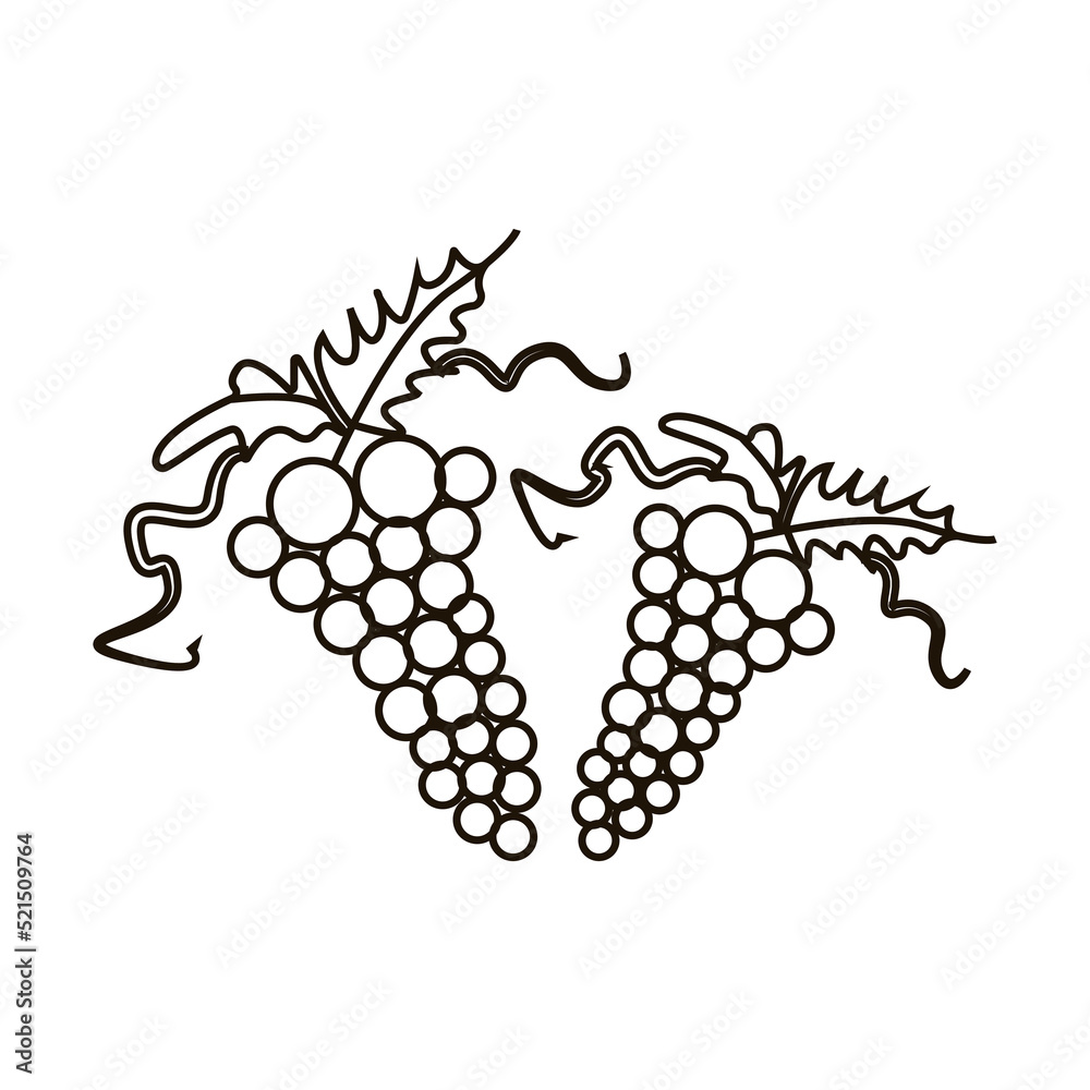 Single hand drawn grape. Doodle vector illustration. Isolated on white ...