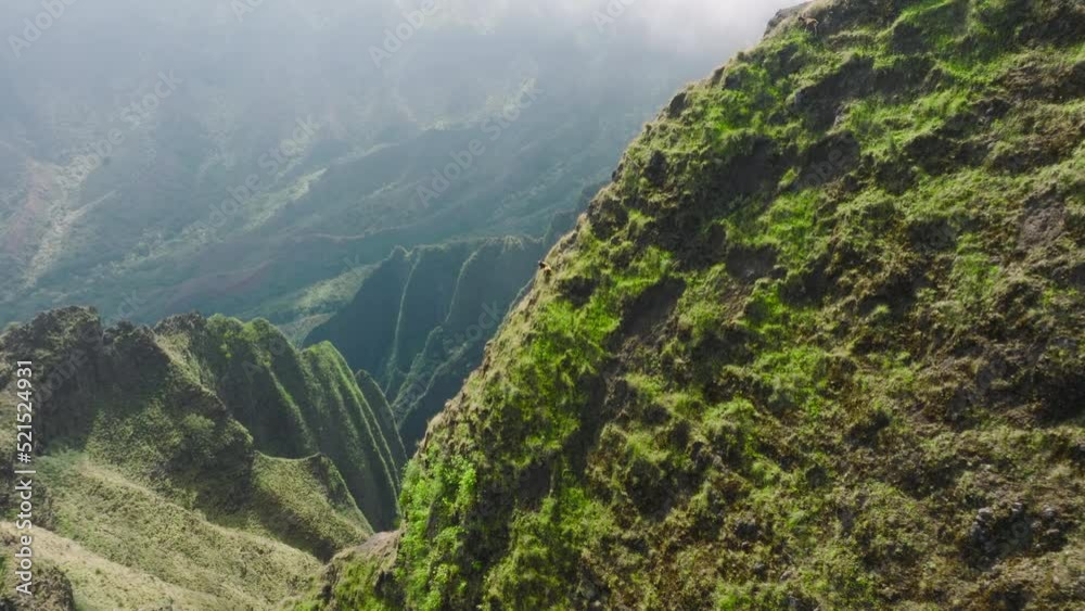 Incredible shot of wild goats climbing by steep green mountain wall in ...