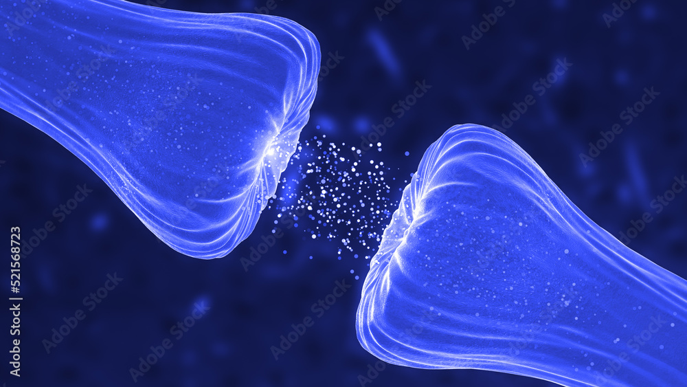 Neuronal and synapse activity animation Stock Illustration | Adobe Stock