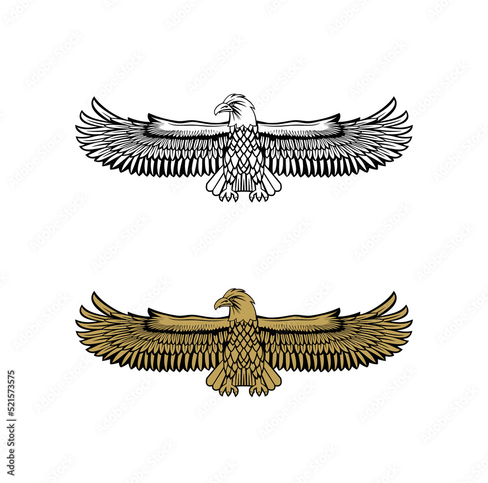 United State Marine Corps Eagle ega design illustration vector eps ...