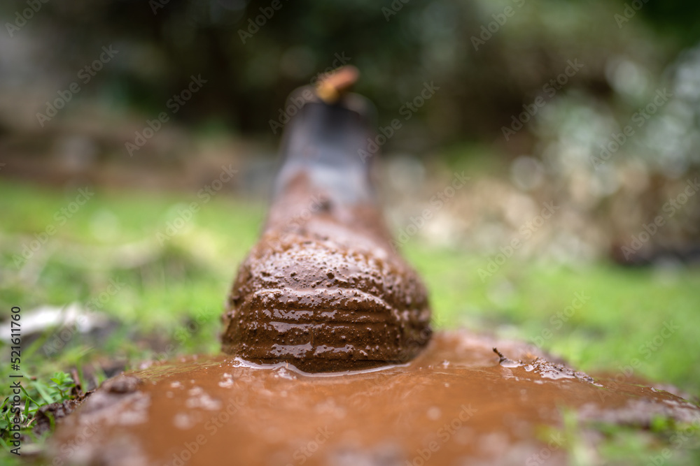 Muddy boots on a farm in Australia. Dirty shoes covered in dirt and ...