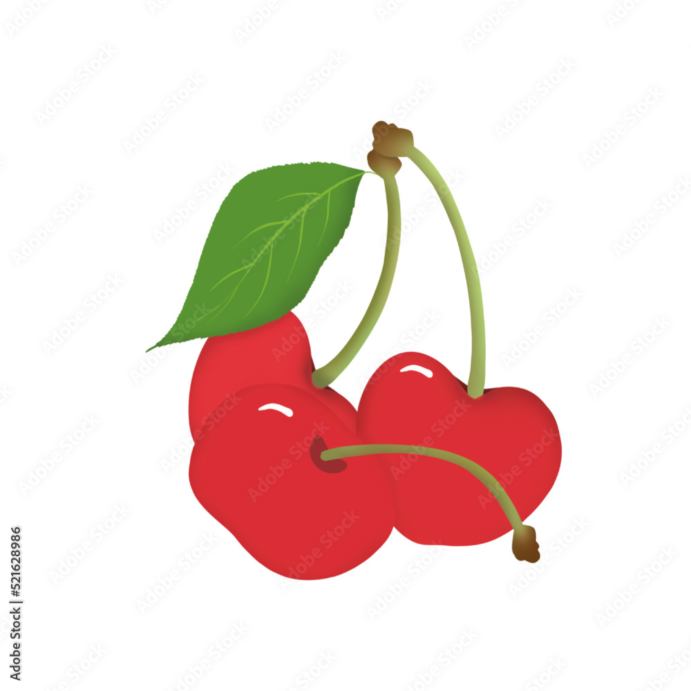 Dessin de Cerise fruit sur fond transparent Stock Vector | Adobe Stock