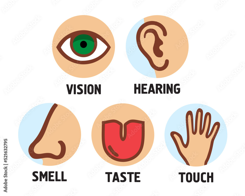 Vector Illustration Of The Five Senses Of The Human Nervous System
