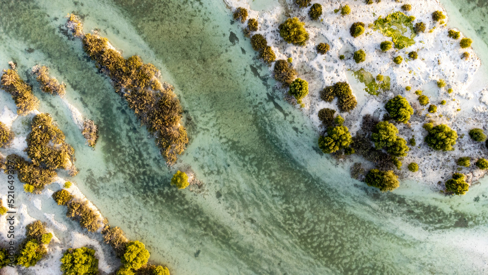 Aerial Photography of the mangroves in Abu Dhabi, UAE. Stock Photo ...