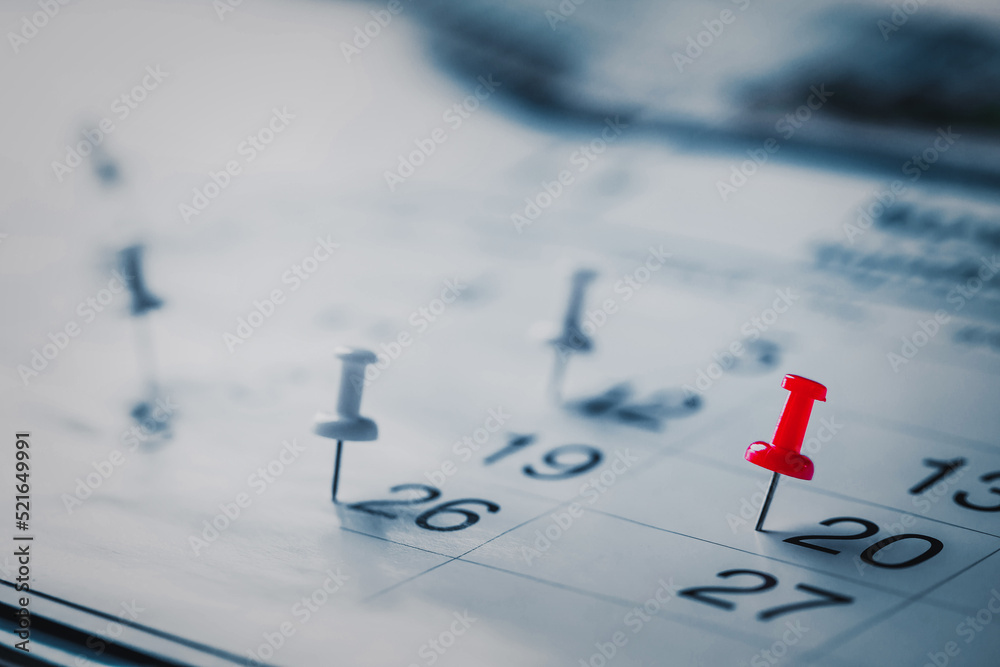 Embroidered red pins on a calendar event Planner calendar,clock to set ...